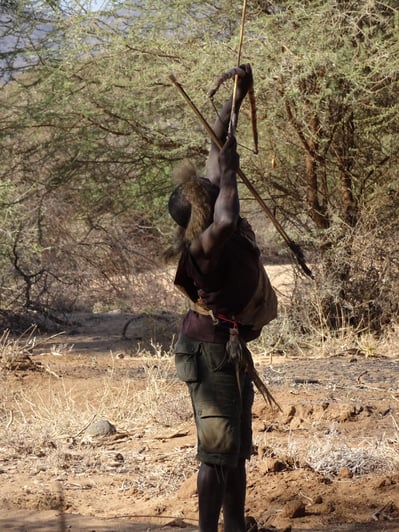 Hunting with the Tribe