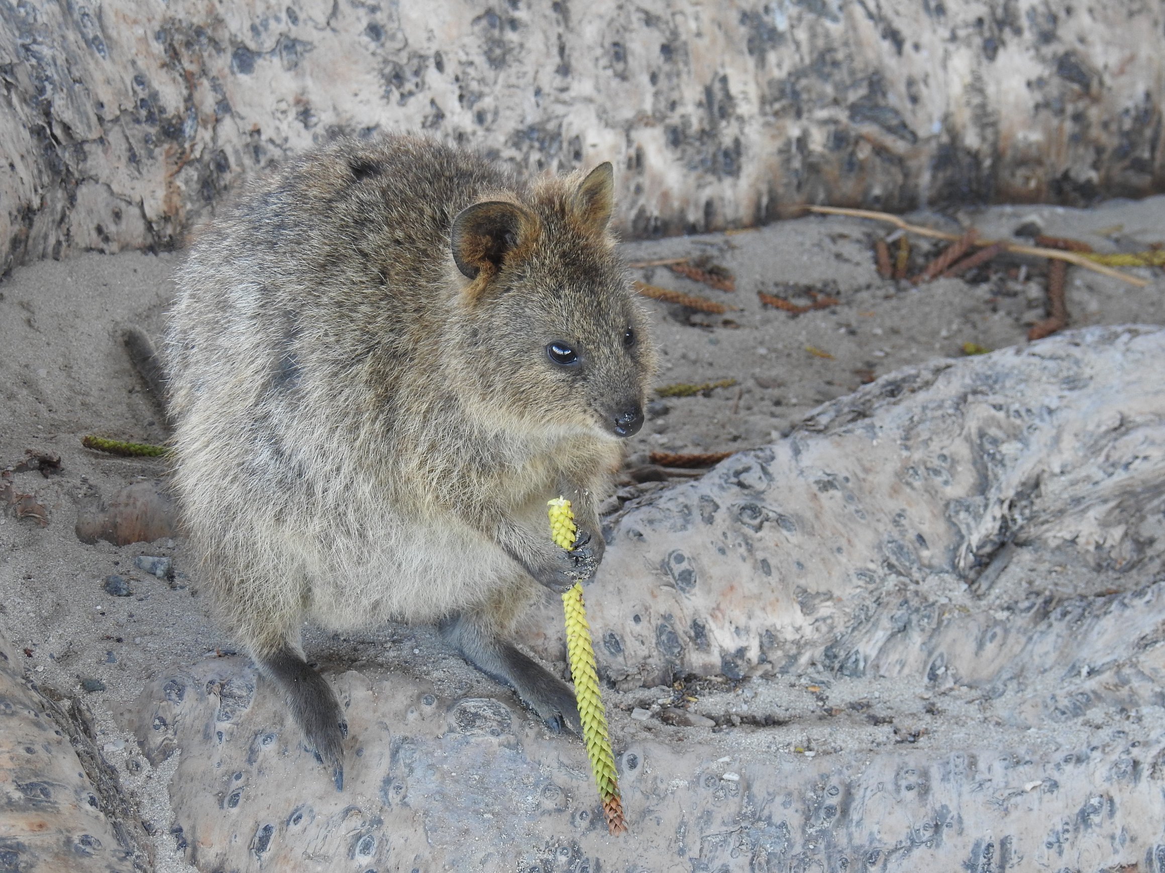 Biking With the Quakkas